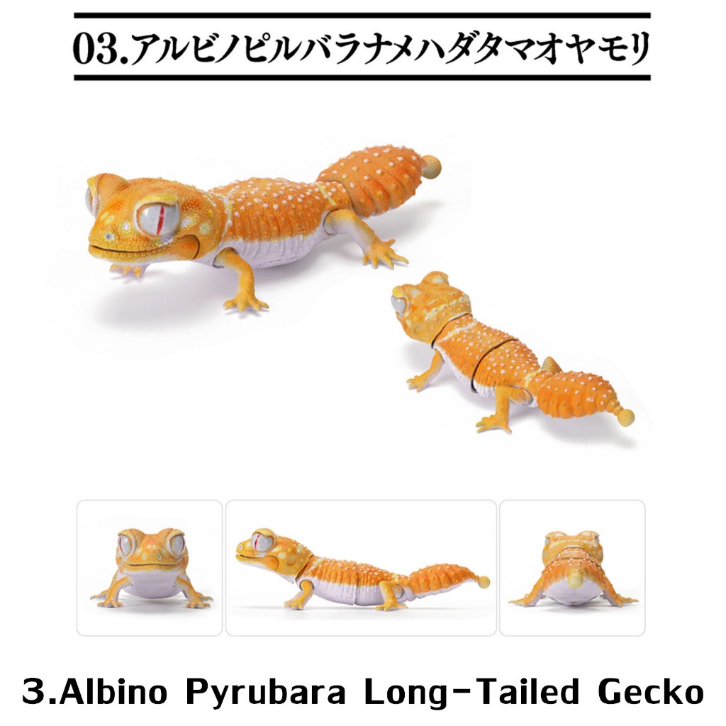แยก Bandai Gashapon Ikimono Encyclopedia SMOOTH KNOB-TAILED GECKO ...