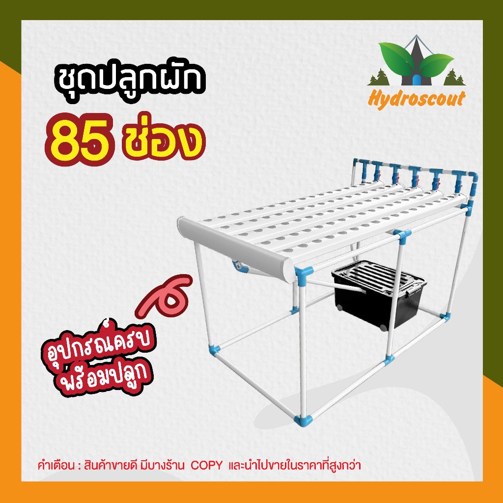 ชุดปลูกผักไฮโดรโปนิกส์ 85 ช่อง By Hydroscout *รบกวนอ่านรายละเอียดการรับ ...