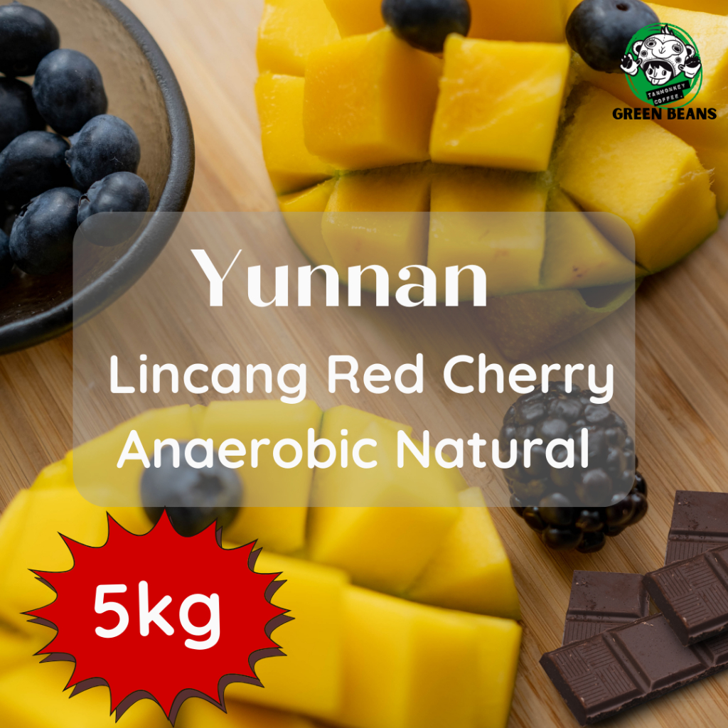 New Lot! สารเมล็ดกาแฟ Yunnan Lincang Red Cherry Anaerobic Natural ขนาด ...
