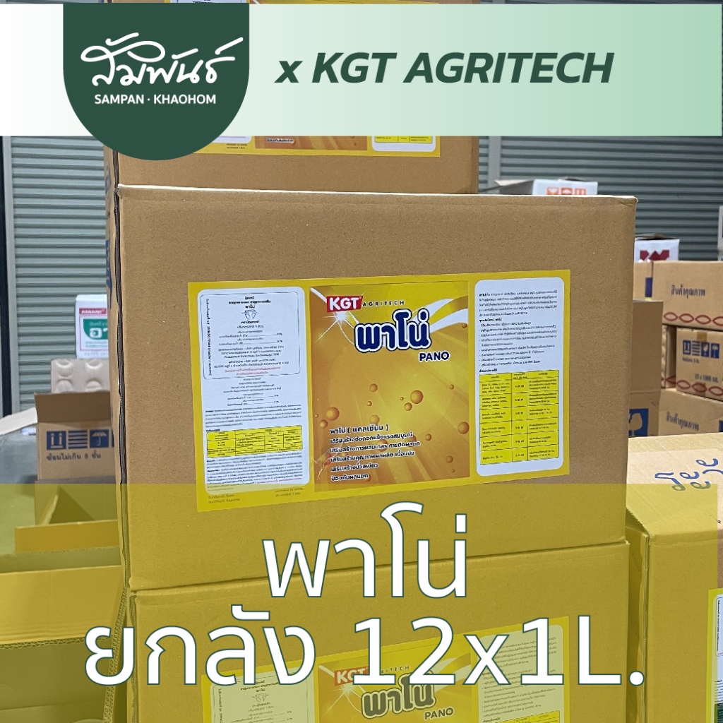 พาโน่ แคลเซียม โบรอน KGT ยกลัง ของแท้ ! สินค้ายกลัง 12 ขวด x 1 ลิตร ...