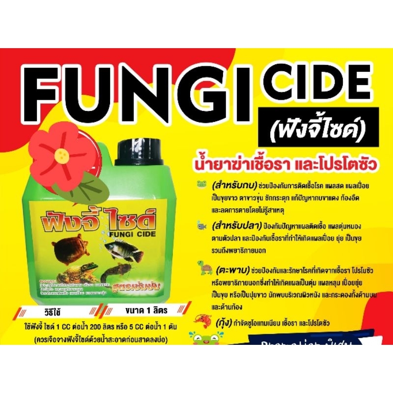 🐸🐟🐢🦞ฟังจี้ไซด์ Fungi Cide 1ลิตร 🦞🐢🐟🐸 | Shopee Thailand