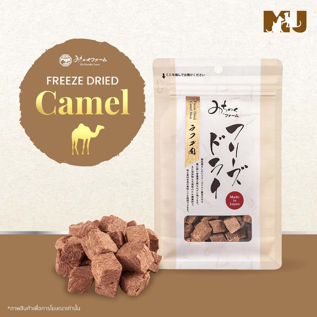 Freeze Dried Camel Meat 40g.ฟรีซดรายเนื้ออูฐขนมพรีเมียมจากประเทศญี่ปุ่น ...