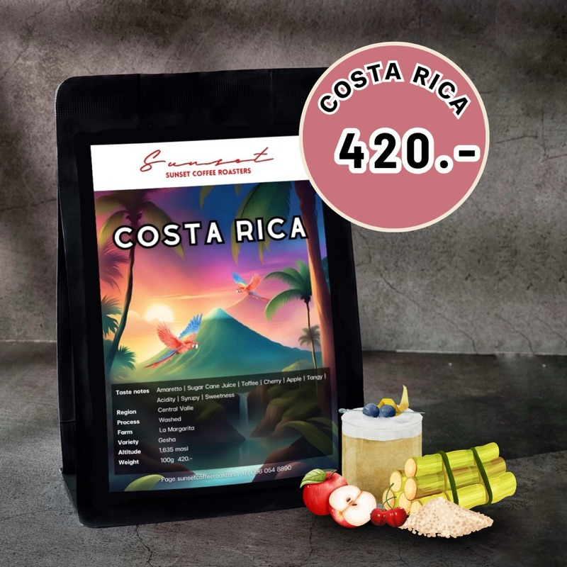 𝐂𝐎𝐒𝐓𝐀 𝐑𝐈𝐂𝐀 | 𝐋𝐢𝐠𝐡𝐭 𝐑𝐨𝐚𝐬𝐭 𝟏𝟎𝟎𝐠. | Shopee Thailand