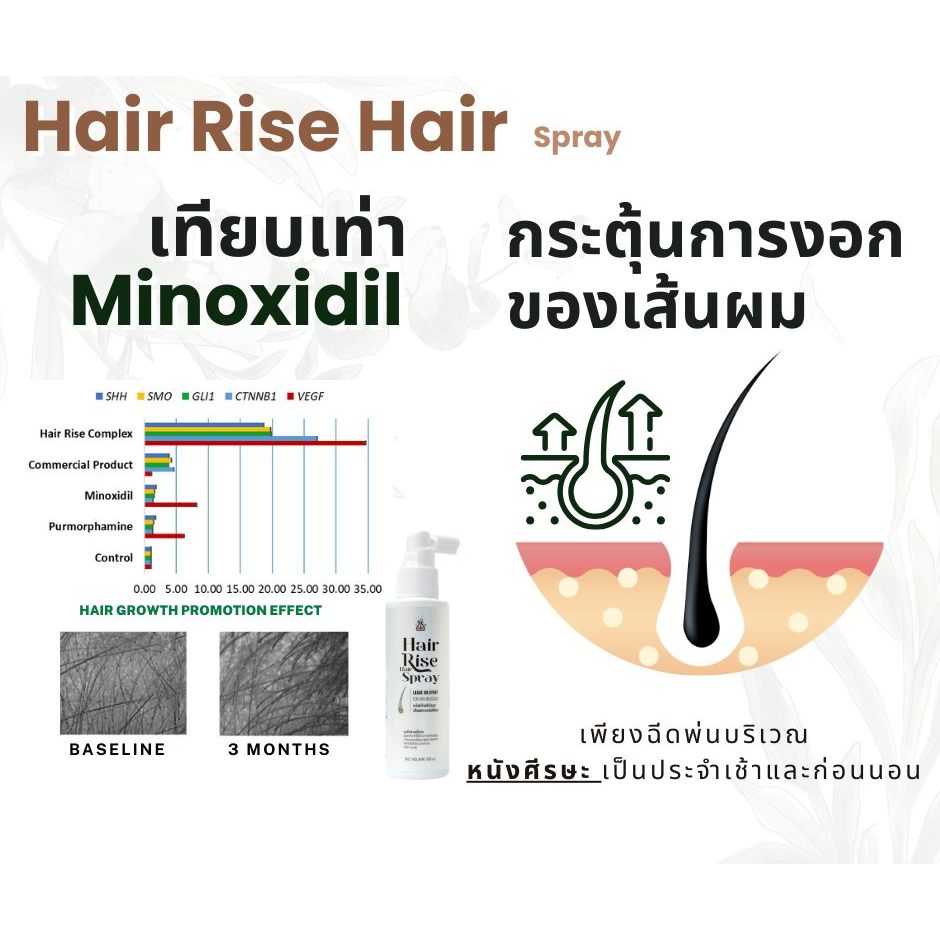 Hair Rise Hair Spray (100ml) แฮร์ไรส์ สเปรย์บำรุงเส้นผมและหนังศีรษะ ...