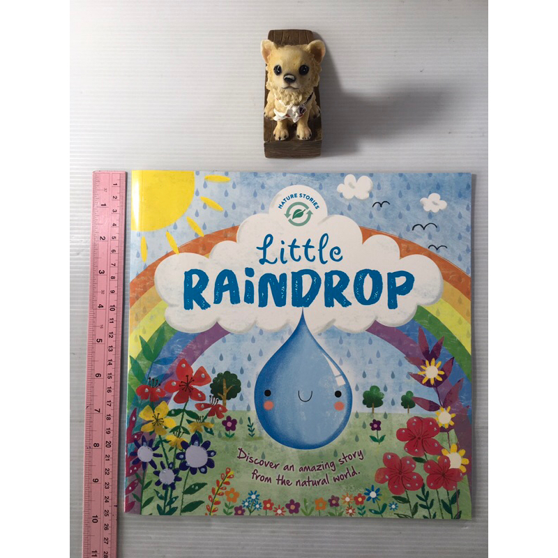 Nature stories Little Raindrop หนังสือภาษาอังกฤษมือสองปกอ่อน | Shopee ...