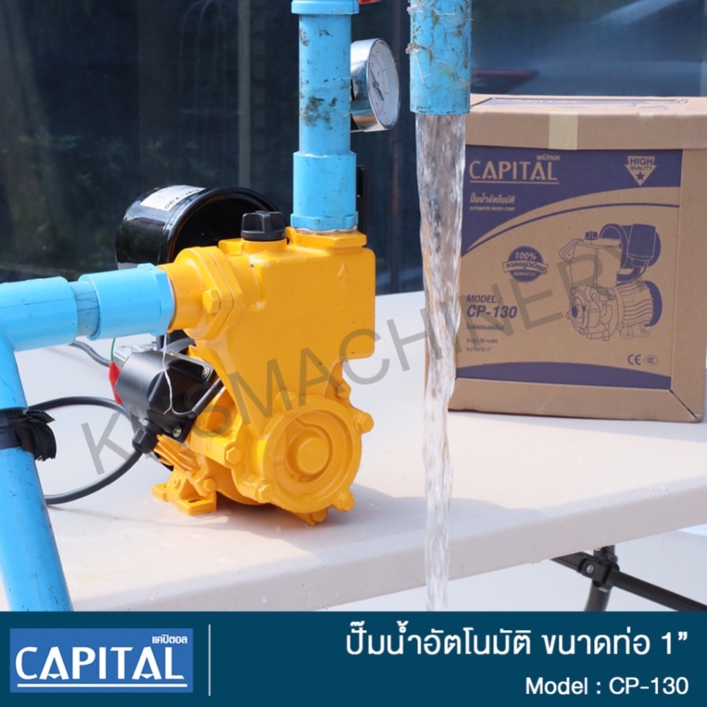 ปั๊มน้ำอัตโนมัติ CAPITAL รุ่น CP-130 CP130 250 วัตต์ ขนาดท่อ 1 นิ้ว ของ ...