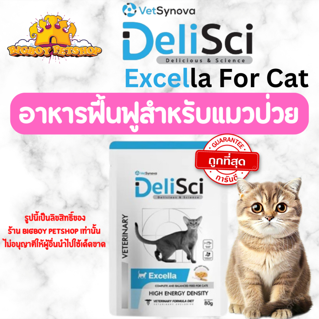 DeliSci Excella อาหารแมวป่วยหลังผ่าตัดหรือกำลังพักฟื้นให้พลังงานสูง ...