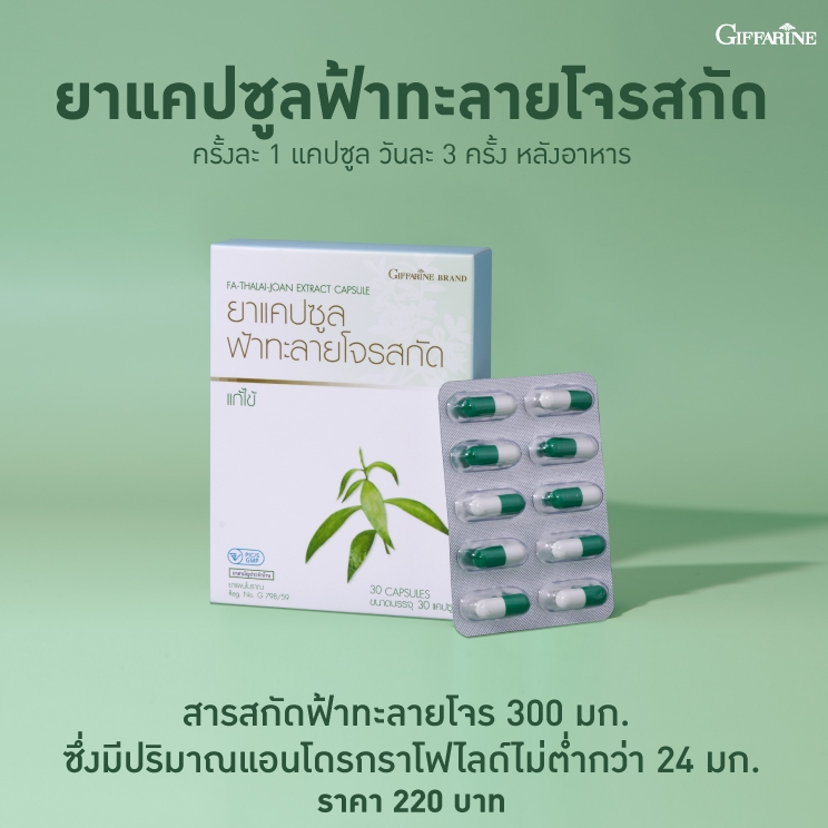 ฟ้าทะลายโจรสกัด กิฟฟารีน ชนิดแคปซูล เลขทะเบียน G798/59 | Shopee Thailand