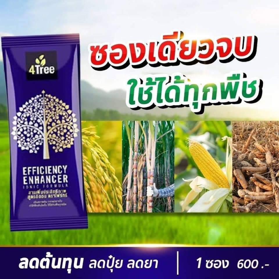 4Treeโฟร์ทรี 1 ซอง ของแท้100%สารเสริมประสิทธิภาพพืช สูตรอิออน พืชแข็งแรง โตเร็ว ทนแล้ง เพิ่มผล ...