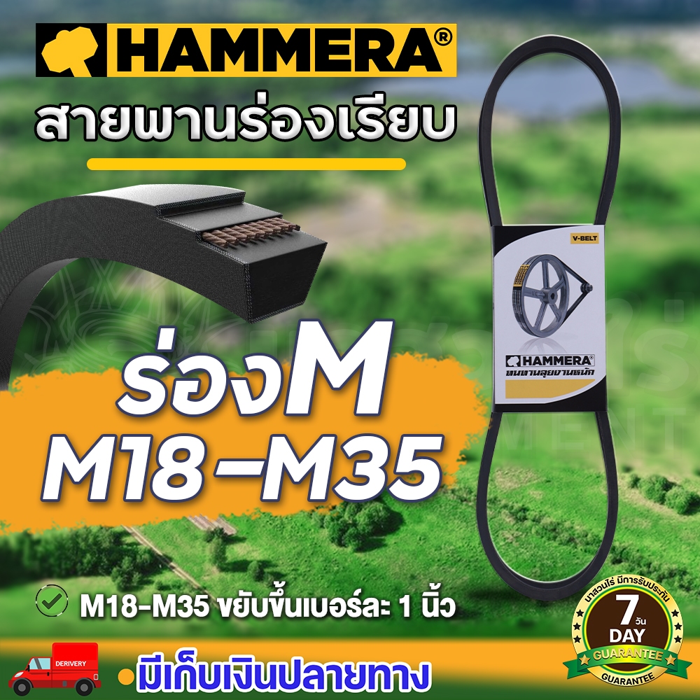 สายพาน HAMMERA ขนาดเบอร์ M18 - M35 สายพานร่องM สายพานการเกษตร สายพานอุตสาหกรรม สายพานรถเกี่ยว ...