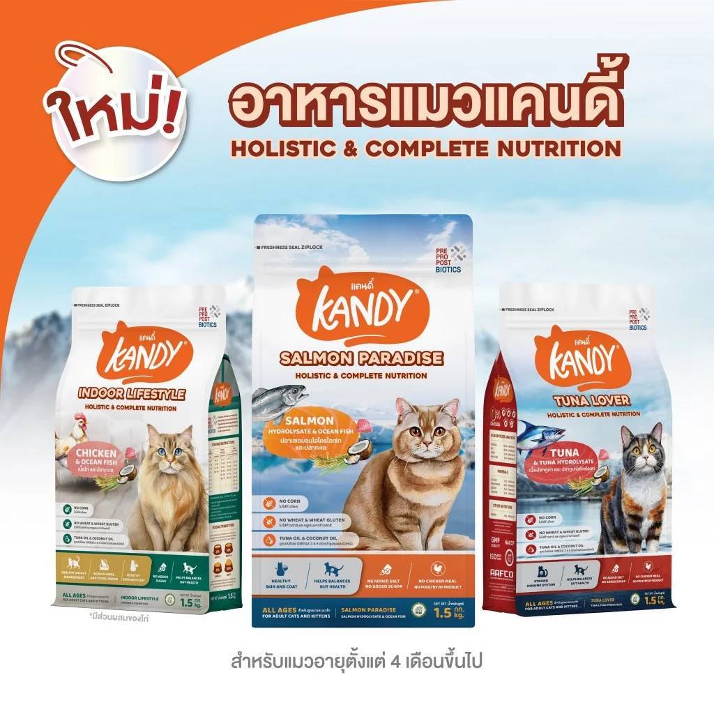 Kandy แคนดี้ อาหารแมวโฮลิสติก สำหรับแมวทุกช่วงวัย ไม่มีผลพลอยได้จาก ...