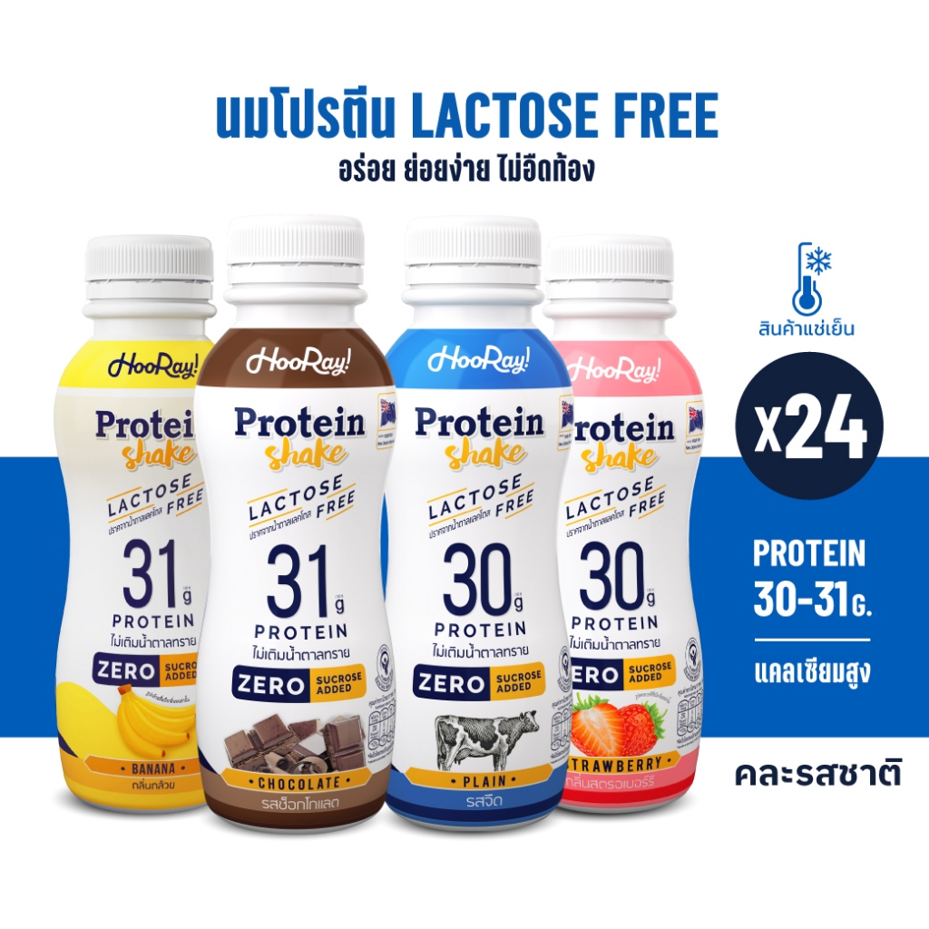 Hooray! Protein Shake Lactose Free นมโปรตีนสูตรเวย์ Pack 24 ขวด รอบส่ง ...