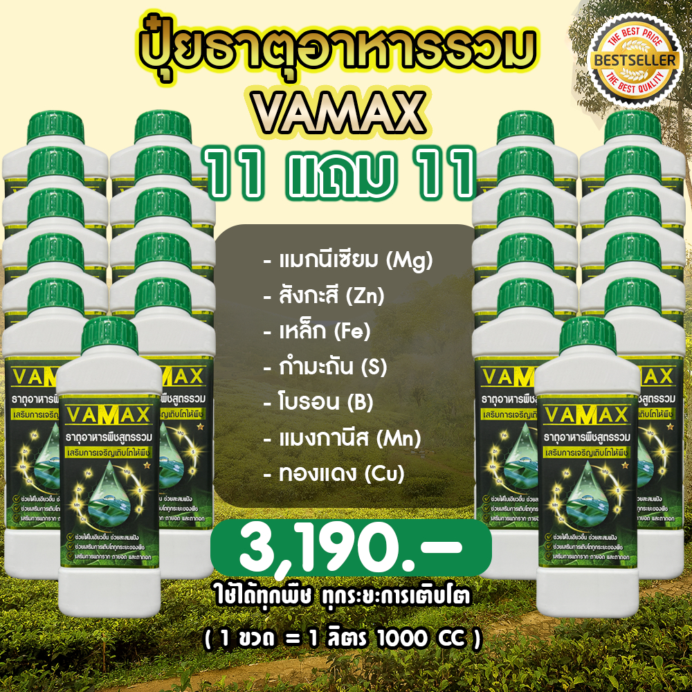 VAMAX (11แถม11) ปุ๋ยธาตุอาหารรวม เร่งการเจริญเติบโตของพืชทุกชนิด ใบ ...