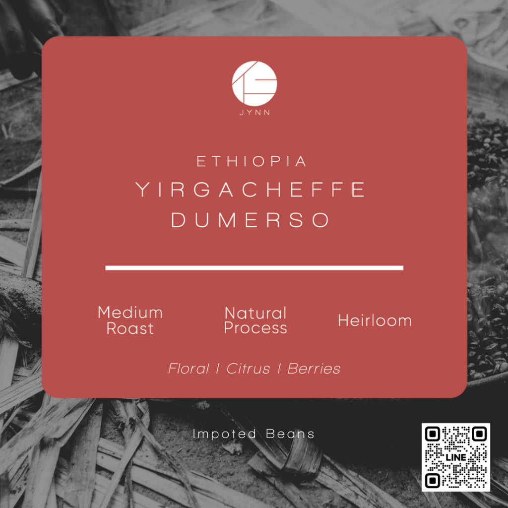 JYNN coffee roasters เมล็ดกาแฟ Ethiopia Yirgacheffe Dumerso - 200g ...