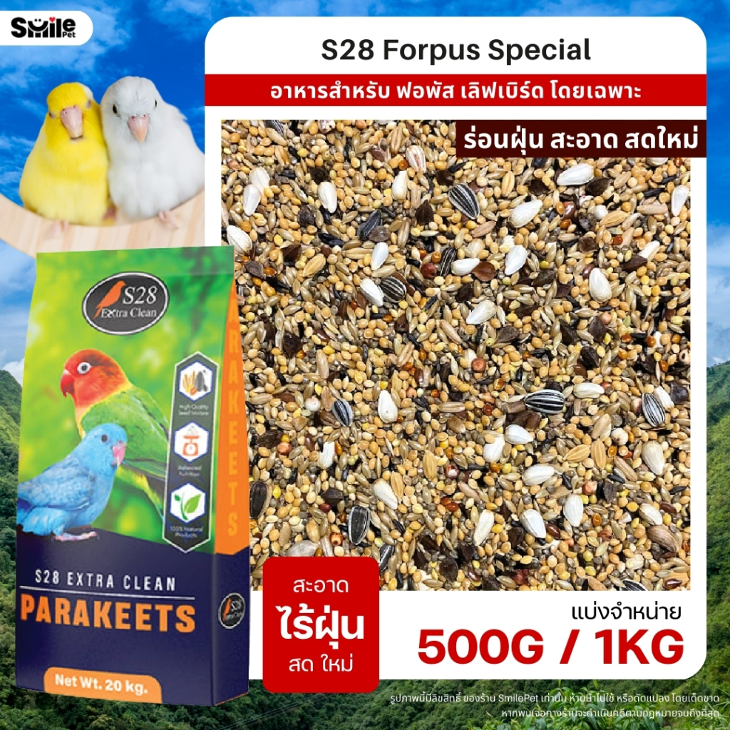 S28 Forpus Special อาหารนกแก้ว ฟอพัส และนกแก้วขนาดเล็ก (แบ่งขาย 500G / 1KG) | Shopee Thailand