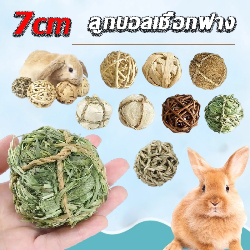 ของเล่นลับฟัน Timothy Ball ลูกบอลหญ้า ลูกบอลเชือกฟาง 7ซม ของเล่นกระต่าย ...