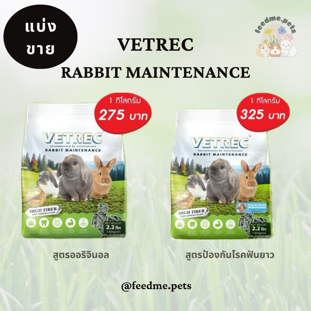 Vetrec Rabbit Maintenance อาหารกระต่ายสูตรสมบูรณ์ ที่สัตวแพทย์แนะนำ ...