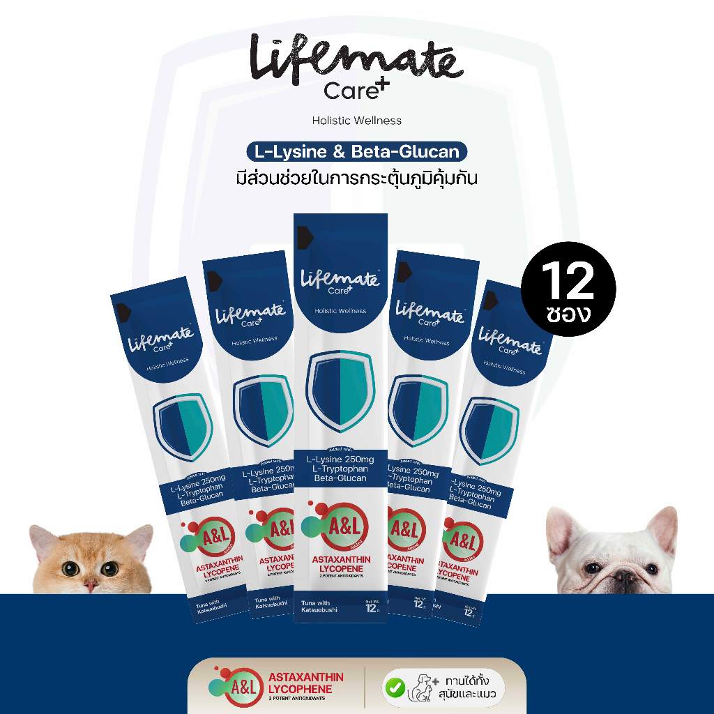 Lifemate Care+ Cat Treat แบบ 12 ซอง | Shopee Thailand