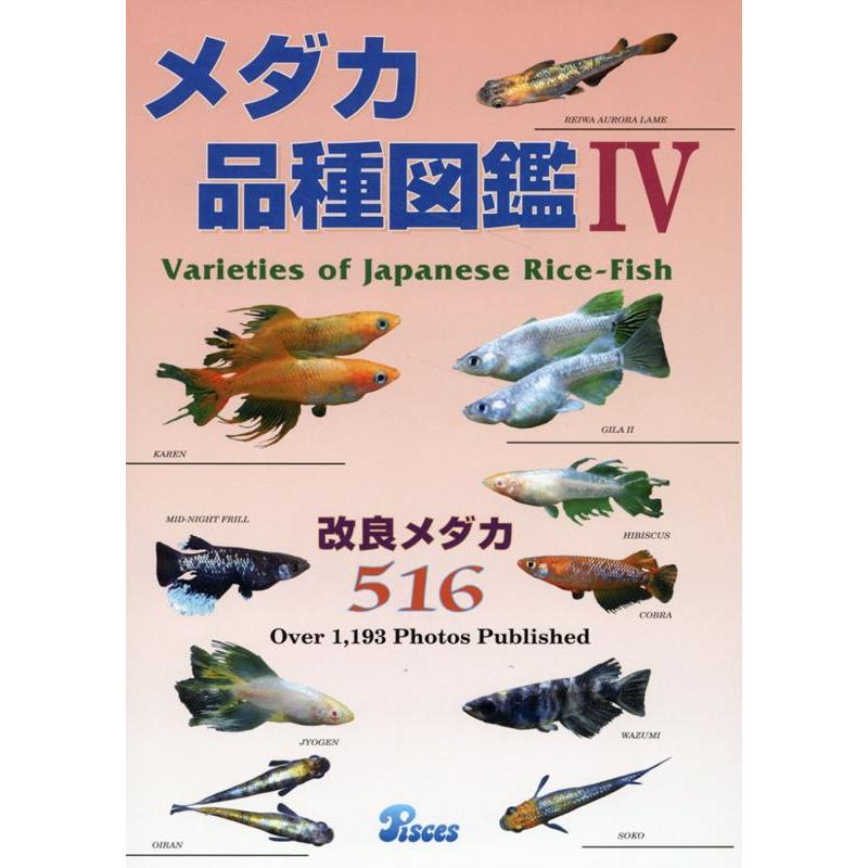 Medaka Varieties of Rice Fish Guide Book 4 IV 2024 | Shopee Thailand