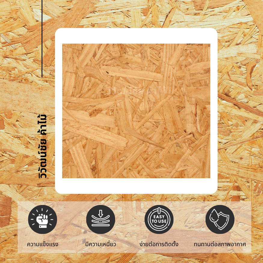 ไม้ osb 10 มิล x (60-120) x (120-200) ไม้อัดosb ไม้อัด osb แผ่นไม้อัด ไม้ผนัง ไม้DIY | Shopee ...