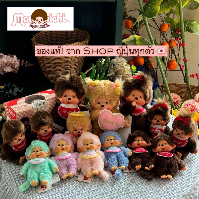 ของพร้อมส่ง! Monchhichi ของแท้จากShop ญี่ปุ่น🇯🇵🇯🇵 | Shopee Thailand
