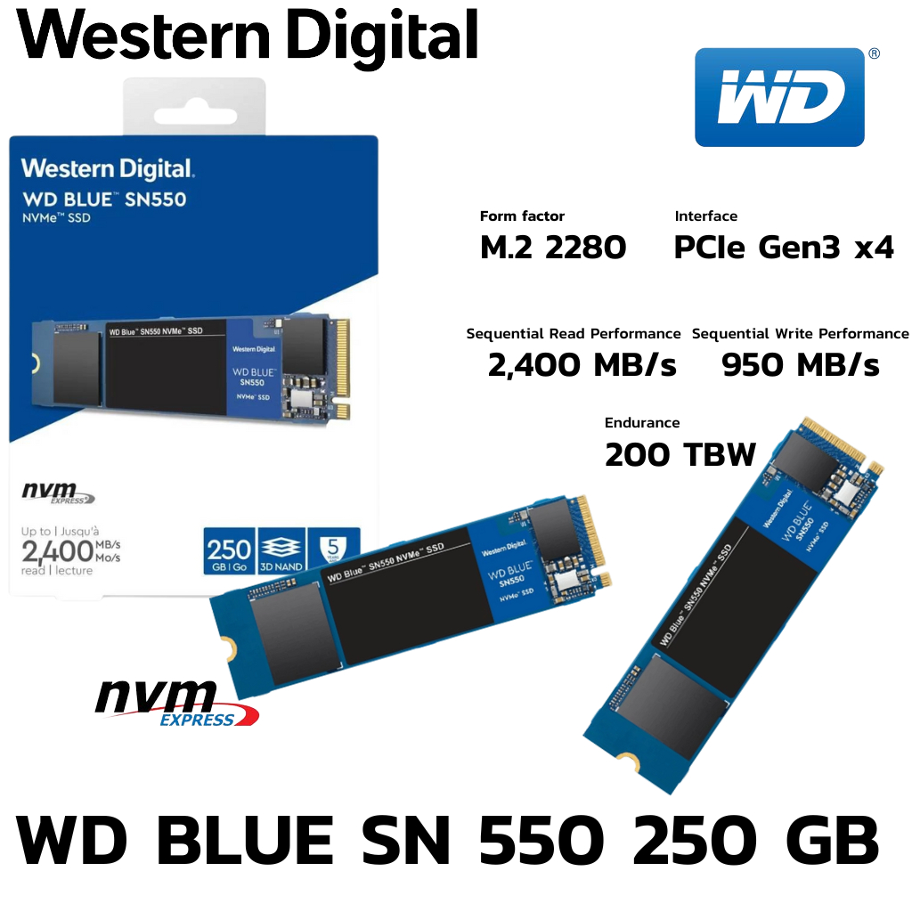 WD BLUE SN550 250GB SSD M.2 NVMe GEN3 ประกันไทย Synex | Shopee Thailand