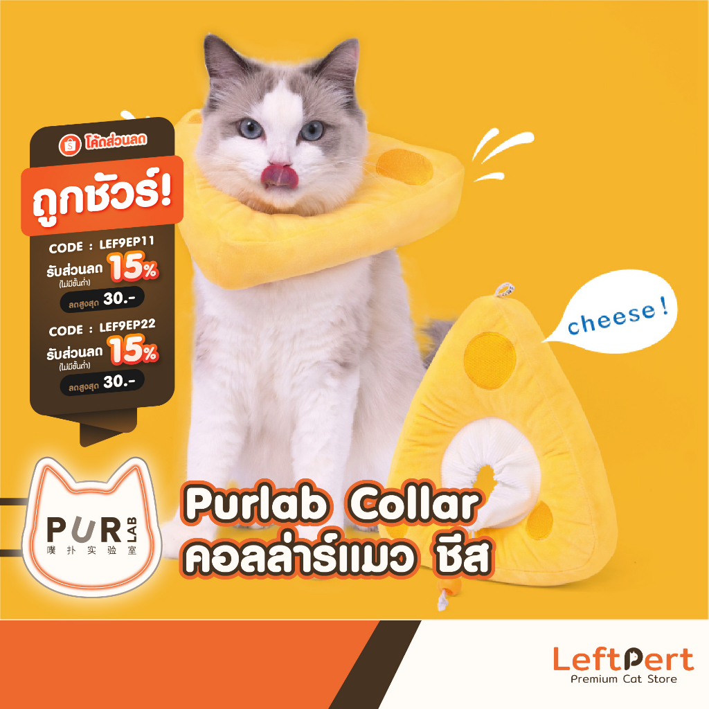 Purlab Collar คอลล่าร์แมว ชีส | Shopee Thailand