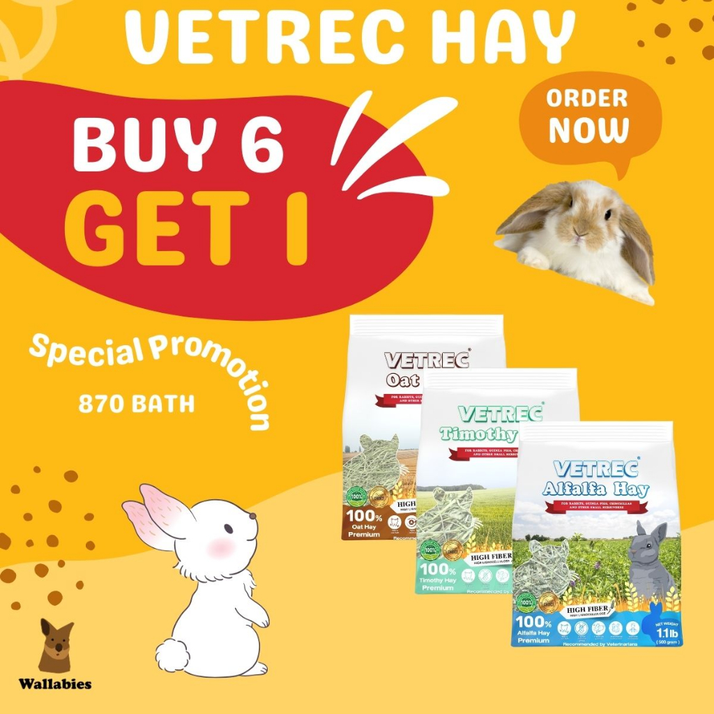 (ซื้อ6แถม1) VETREC HAY 500g | Shopee Thailand