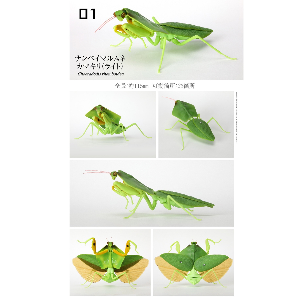 (มีของพร้อมส่ง) Gashapon กาชาปองตั๊กแตน Bandai Kamakiri Mantis Vol.04 ...