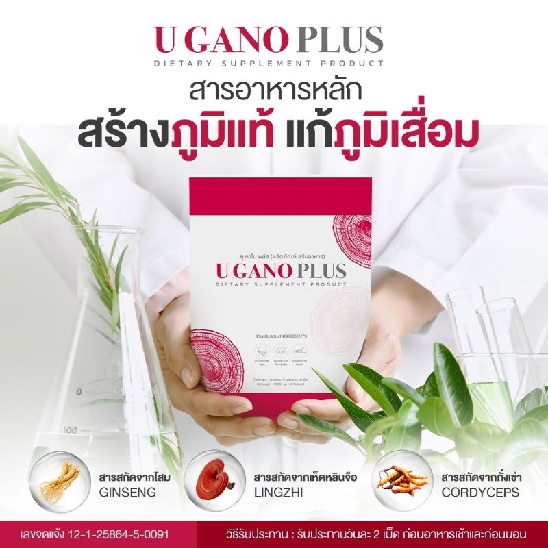 U Gano Plus ยูกาโน่ พลัส ของแท้100%เพิ่มภูมิคุ้มกัน บำรุงระบบประสาท ...