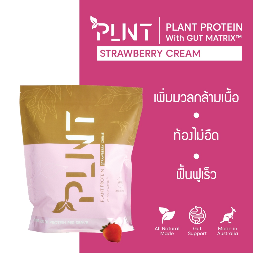 โปรตีนพืช PLNT Protein Powder with GUT MATRIX™ (900g / 30 serves) รส ...