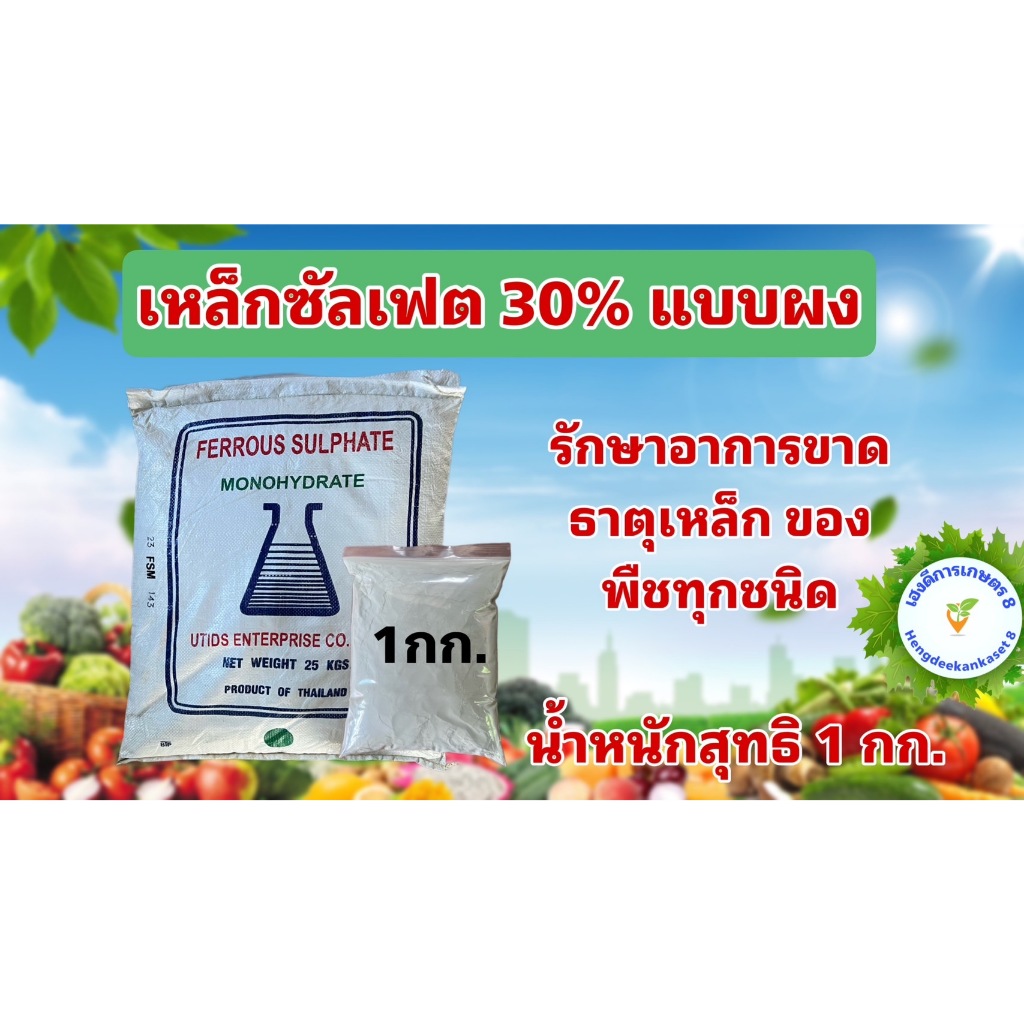 เหล็กซัลเฟต เฟอรัสซัลเฟต Ferous Sulfate แบบผง และ แบบเกล็ด แก้ใบเหลือง ...