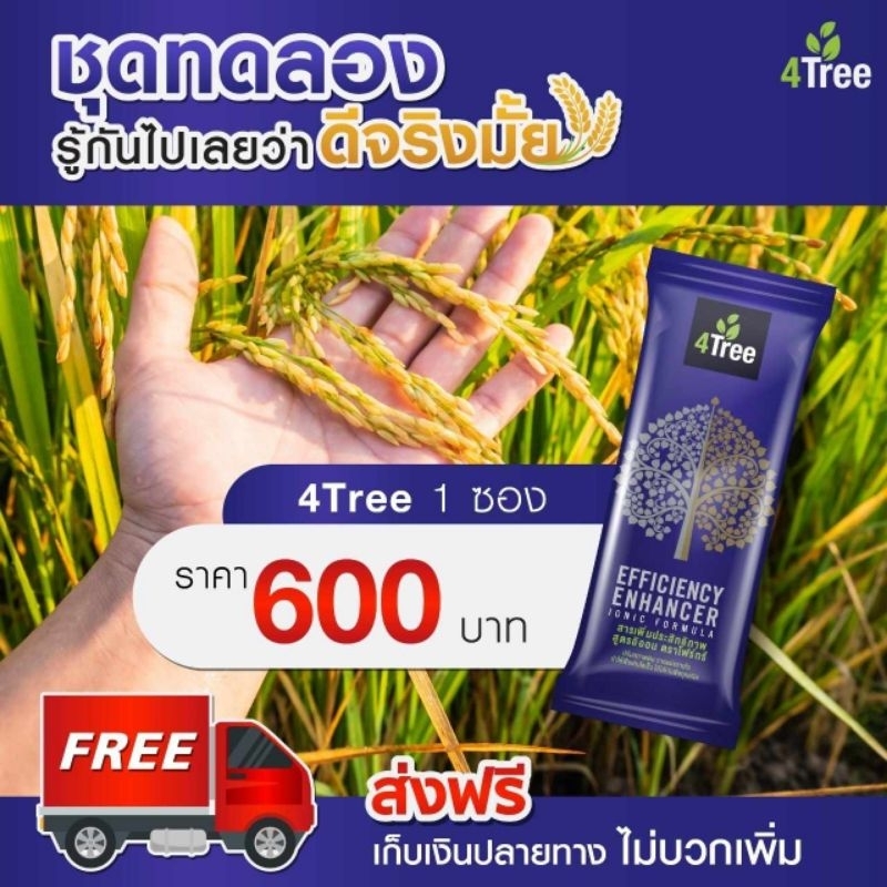 4Tree โฟร์ ทรี 1 ซอง (ใช้ ได้ 15-20 ไร่) สารเพิ่มประสิทธิภาพพืช ใช้ได้กับพืชทุกชนิด ของแท้ ...