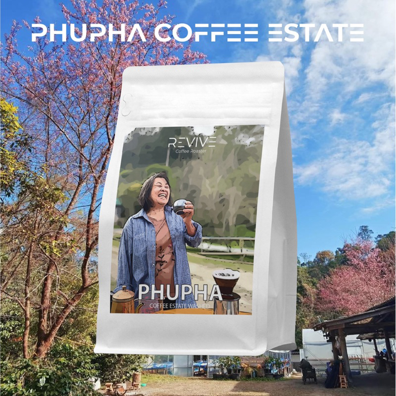 Revive Coffee Roaster เมล็ดกาแฟไทย Phupha Coffee Estate | Shopee Thailand