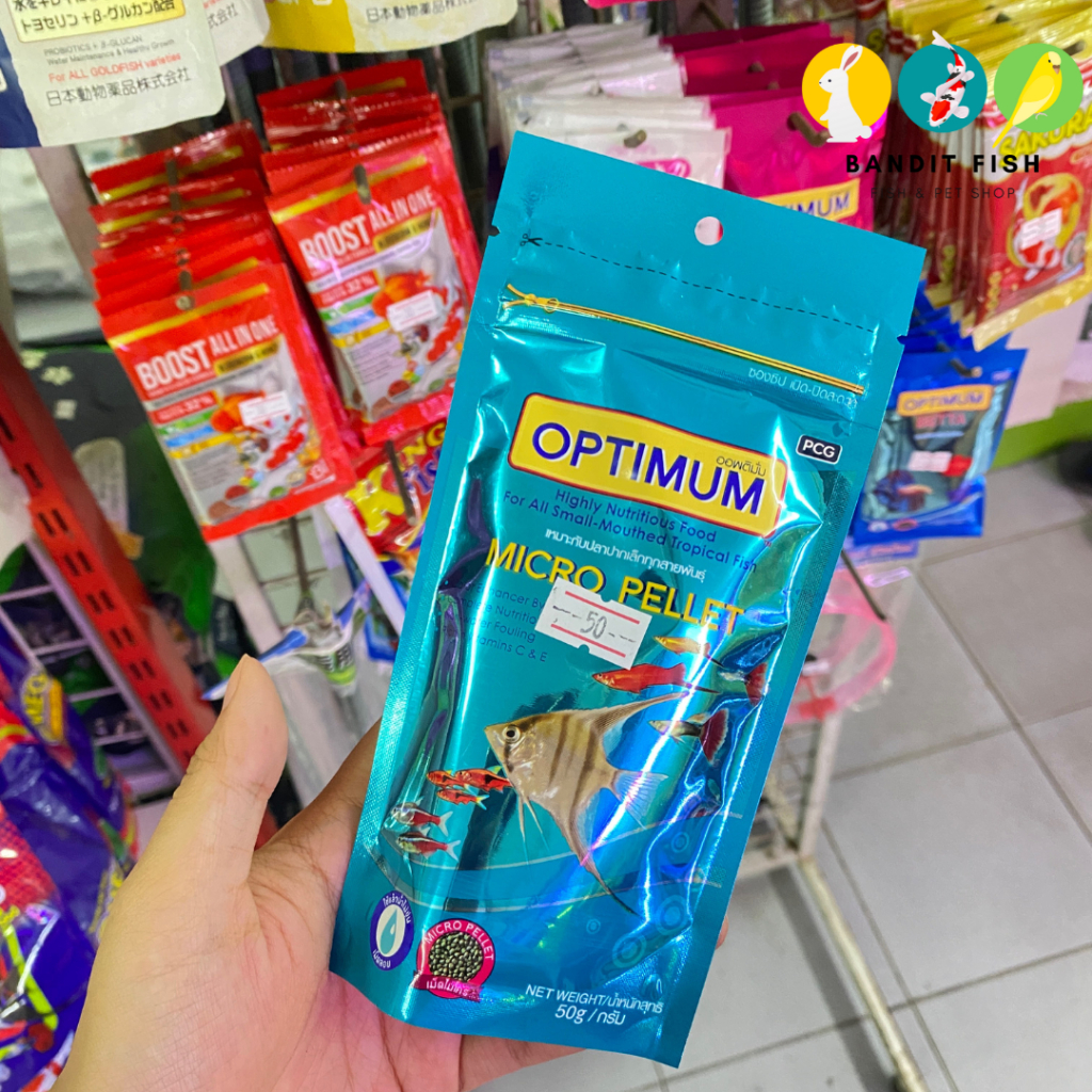 OPTIMUM Micro Pellet - ออพติมั่มเม็ดไมโคร สำหรับปลานีออน หางนกยูงและ ...