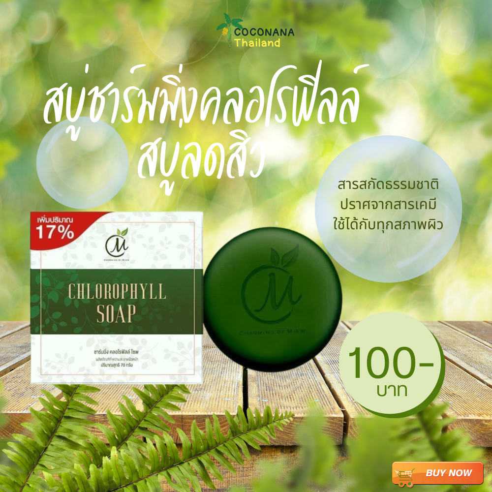 สบู่ชาร์มมิ่ง คลอโรฟิลล์ #Chlorophyll Soap #สบู่ถั่ว # สิวหนัก #ดีท็อก ...