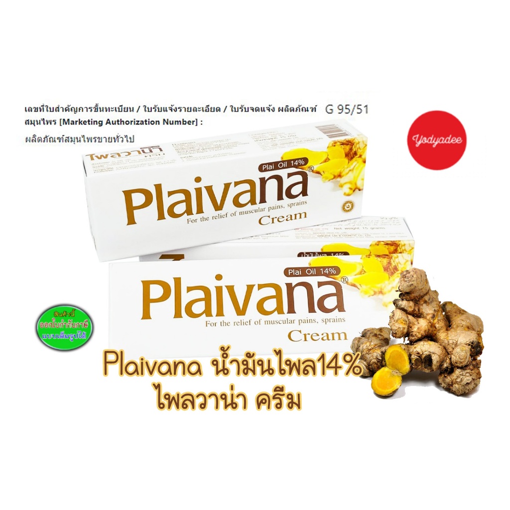 Plaivana Cream ไพลวาน่าครีม น้ำมันไพล 14% ขนาด 3ขนาด รายละเอียดวัน ...