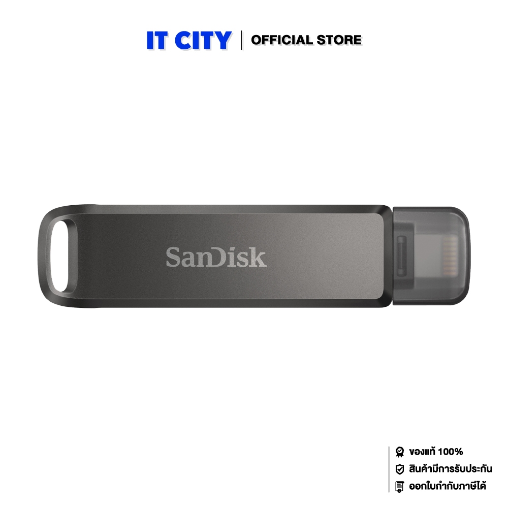 SANDISK iXpand Flash Drive Luxe, SDIX70N 256GB/Black MS2-000936 ...
