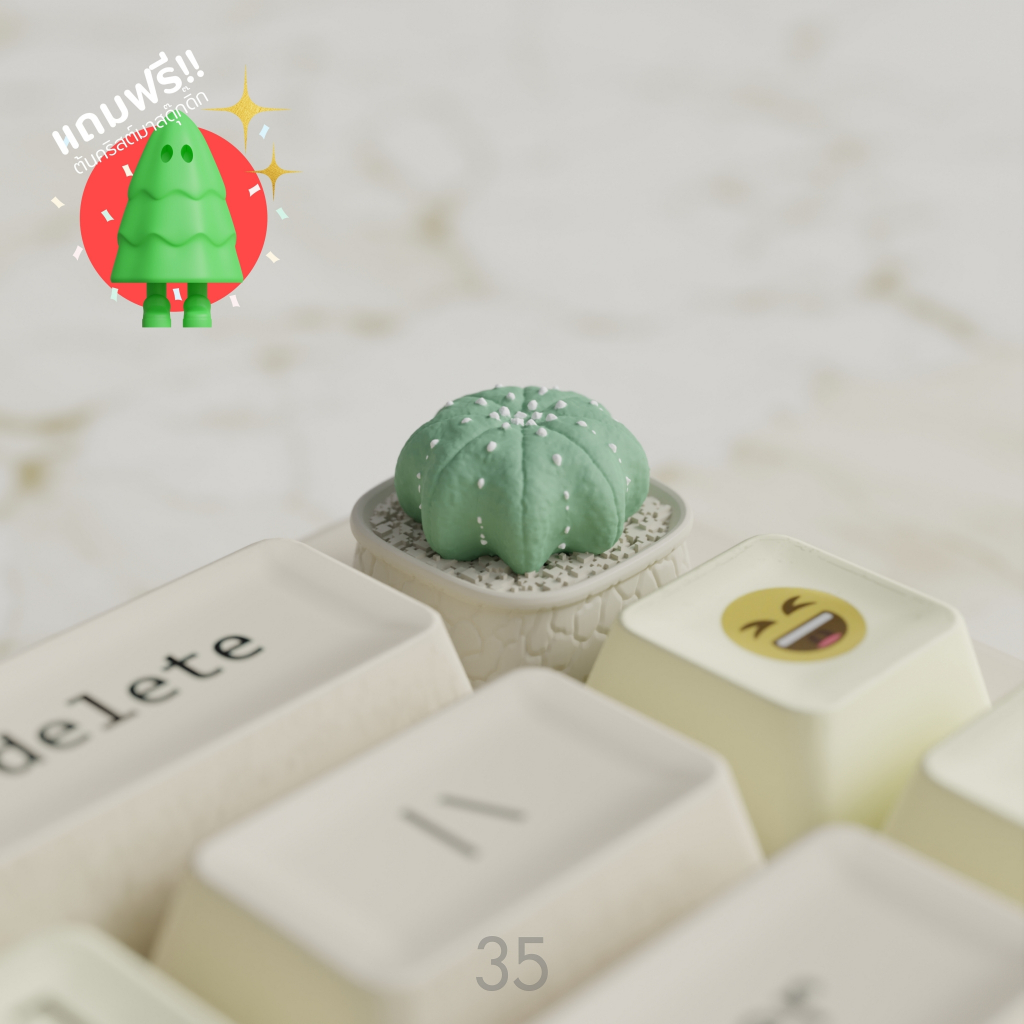 (พร้อมส่ง) (35) คีย์แคปกระบองเพชร "แอสโตร" ปุ่มคีย์บอร์ด แต่งคีย์บอร์ด ...