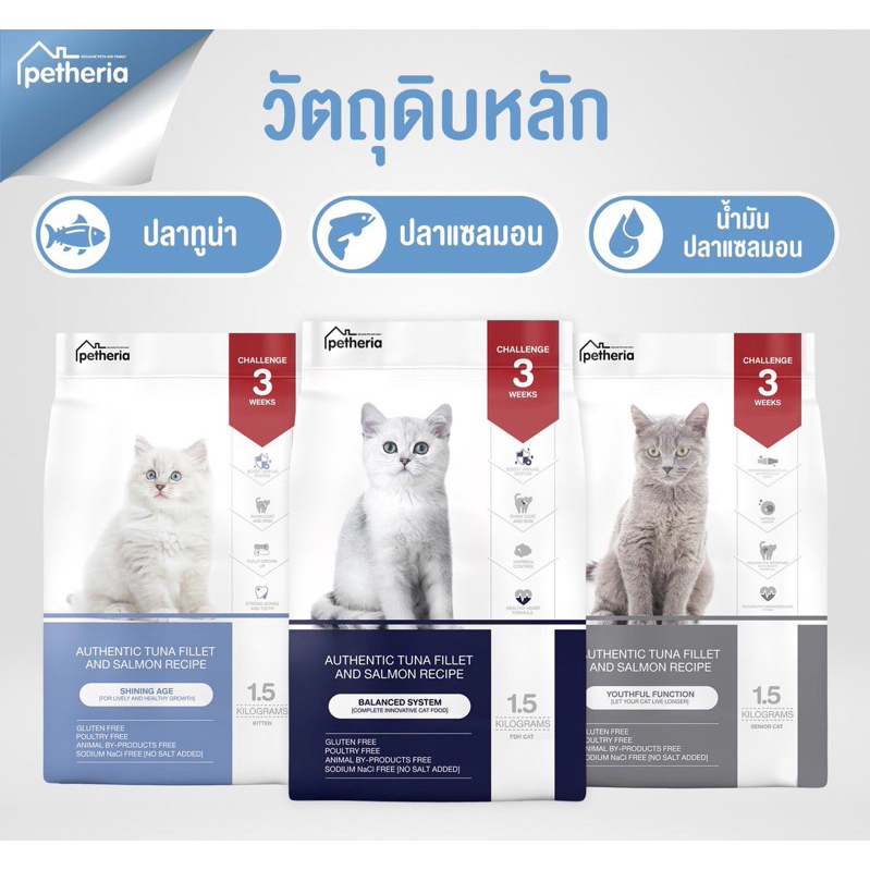อาหารแมว petheria พร้อมส่ง | Shopee Thailand