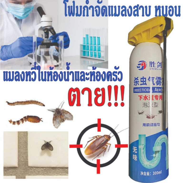 โฟมกำจัดแมลงสาบ แมลงหวี่ ในห้องน้ำ #ROACH BAIT# DRAIN FLY KILLER# ROACH ...