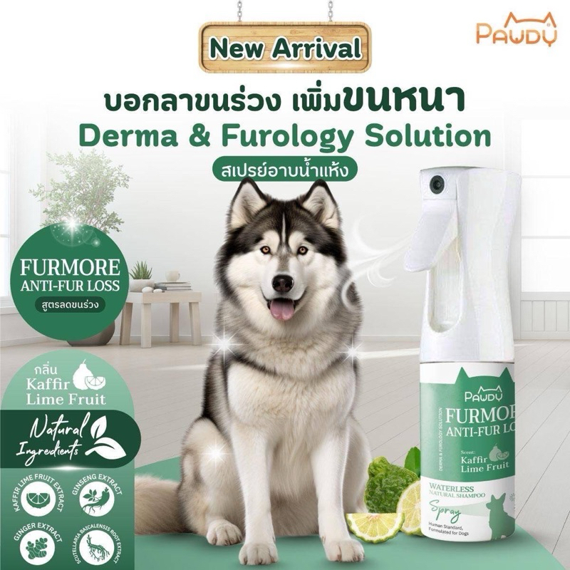 Pawdy Spray สเปรย์อาบน้ำแห้งสุนัข สูตร Natural ลดขนร่วง เสริมสร้างความ ...