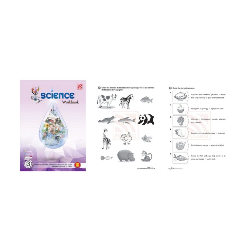 หนังสือเรียน Primary Education Smart Plus Science Workbook | Shopee ...