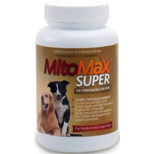 Mitomax Super Premium Probiotic อาหารเสริม สุนัขช่วยในระบบย่อยอาหารและ ...