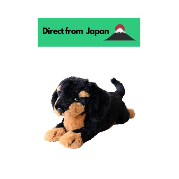 [ส่งตรงจากญี่ปุ่น] Sun Lemon Hiza-Wanko Ss ดัชชุนด์จิ๋ว Bk P-8072 | Shopee Thailand