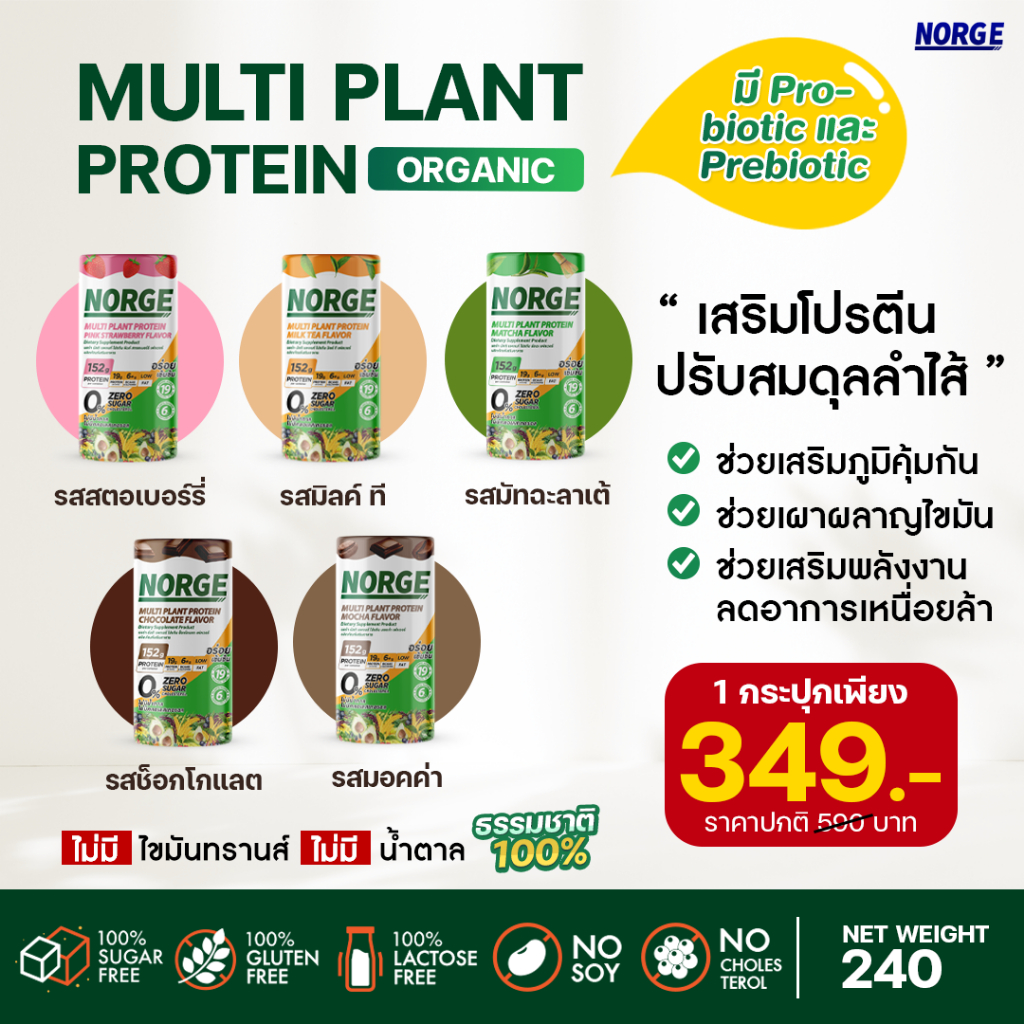 Norde Multi Plant Protein นอร์จ มัลติแพลนท์ รวมรส ไม่มีแลคโตส ไม่มีถั่วเหลือง โปรตีนสูง 19 กรัม ...