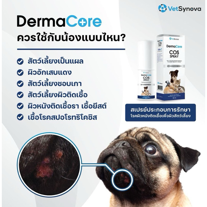 Dermacore COS Spray ช่วยรักษาผิวสัตว์เลี้ยง ใช้ล้าง ทำความสะอาด และ ...