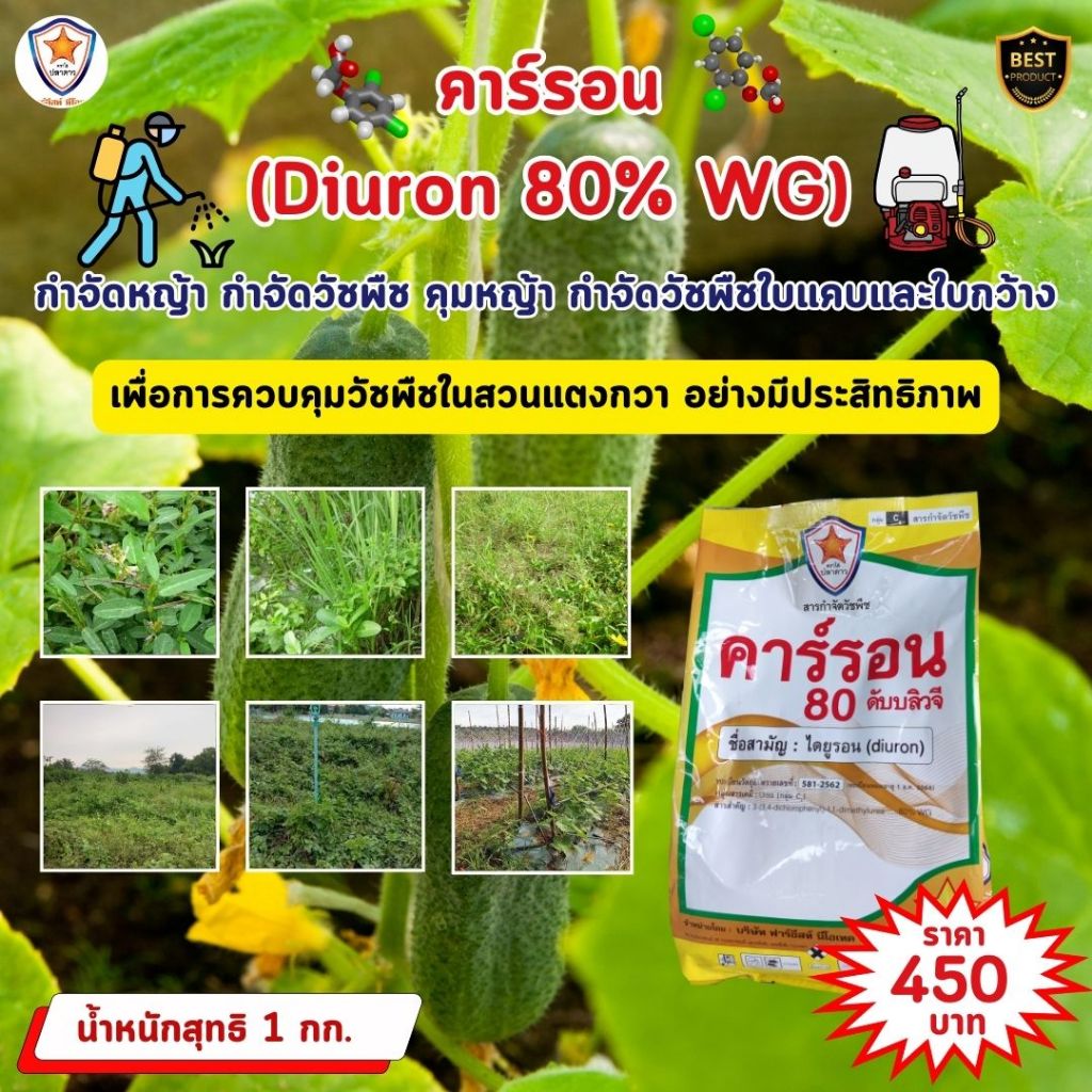 กำจัดวัชพืชในสวนแตงกวาด้วยคาร์รอน (Diuron 80% WG) | Shopee Thailand