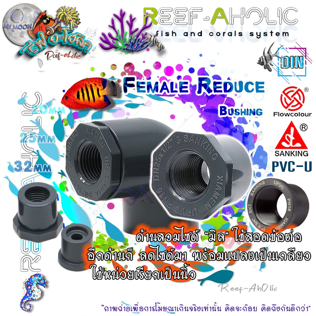 Reef-Aholic Sanking Female Reduce Bushing U-PVC ข้อลดแปลงเกลียวแบบสอดในข้อต่อ 12 - 32 mm. 1/8 ...