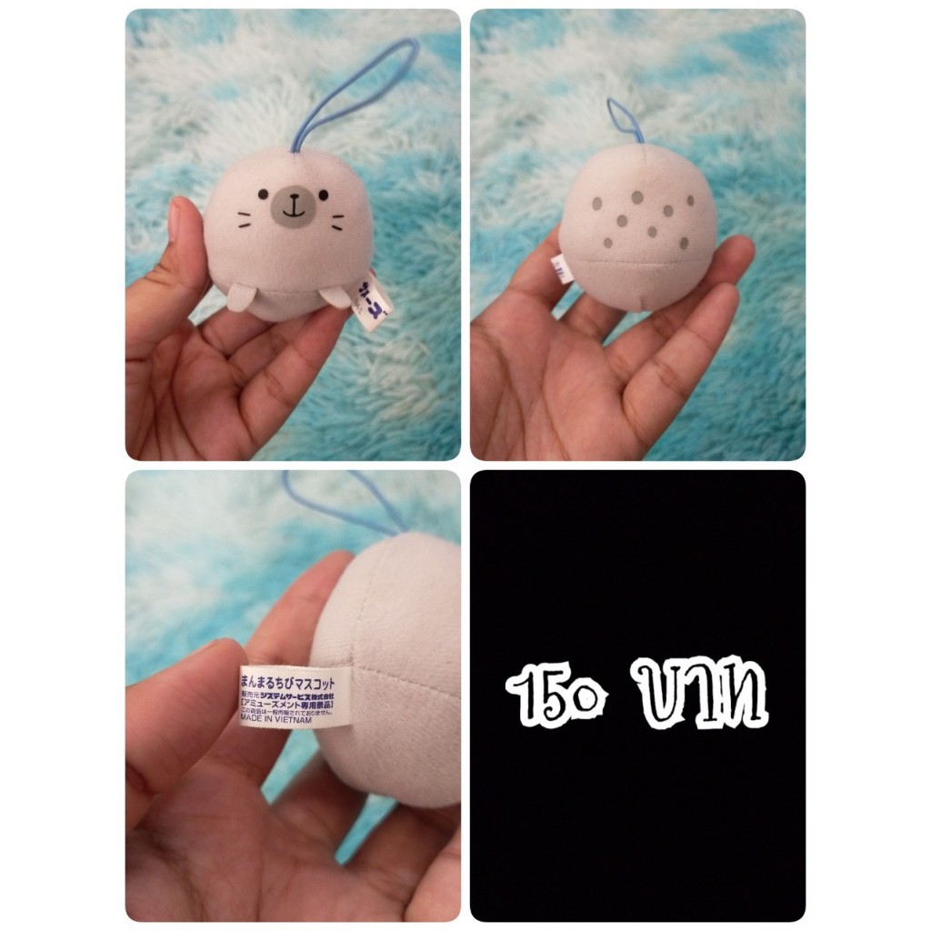 Gray Seal#แมวน้ำ#อุ๋งอุ๋ง#Samezu Shark#Same#ซาเมะ#ซาเมะซึ#ฉลาม#ปลา#ก้น ...